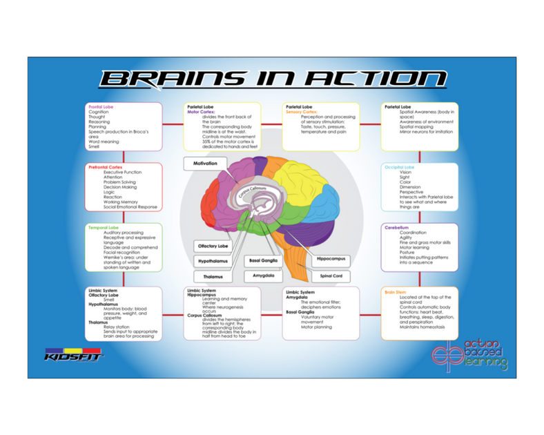 Brainworks Wall Mount | Action Based Learning