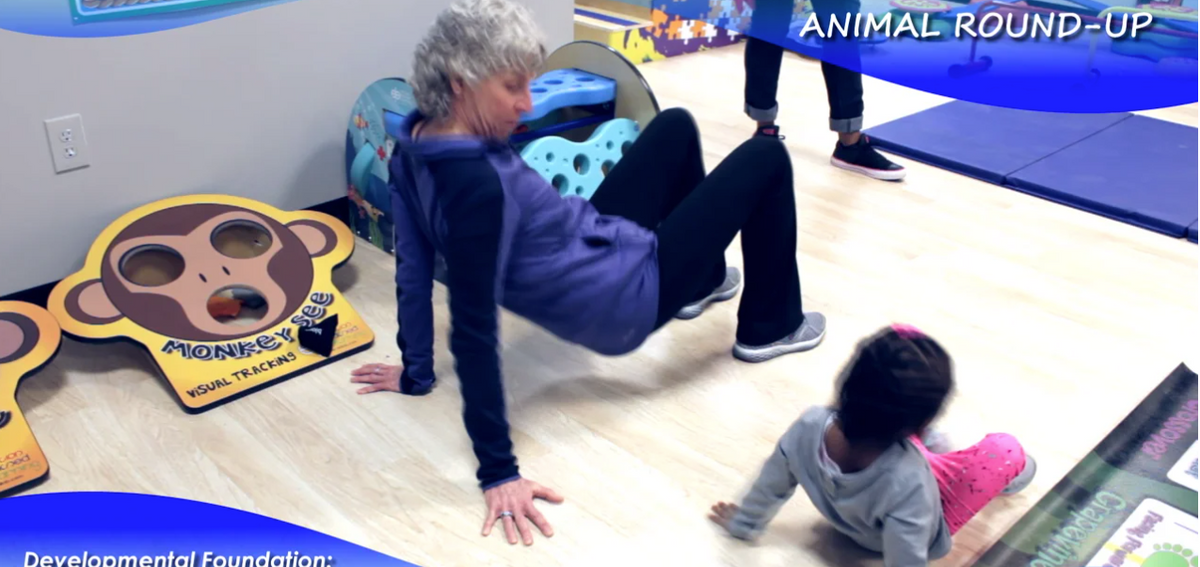 Animal Round-Up Wall Mount | Action Based Learning