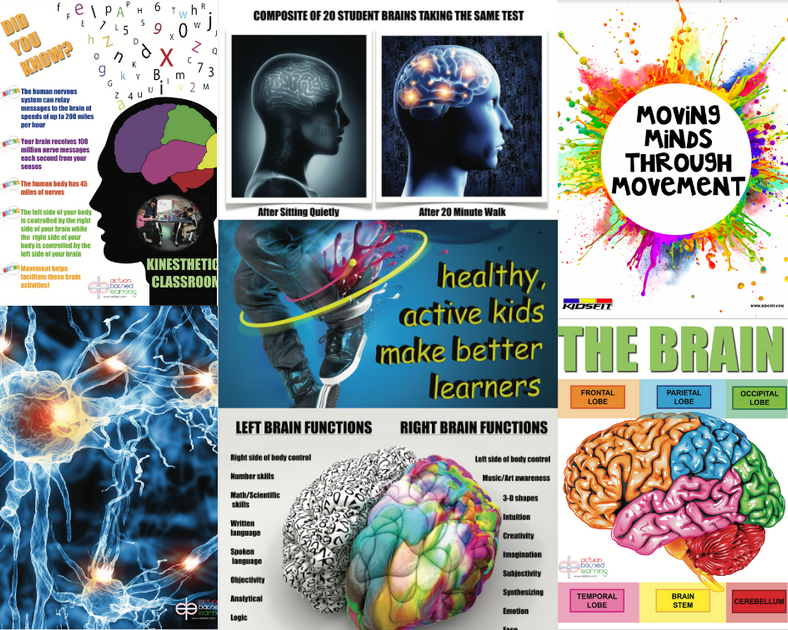Body Brain Adventure Graphics Package | Action Based Learning